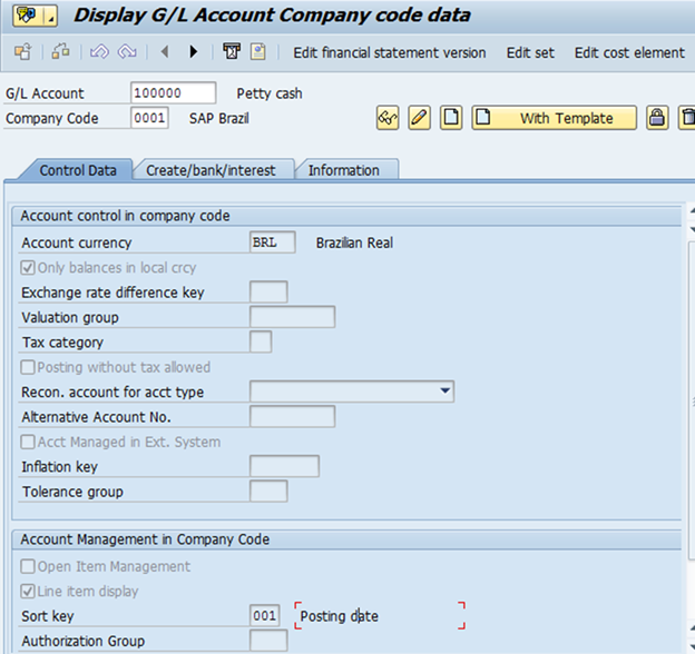 G/L Account Segments in SAP FICO