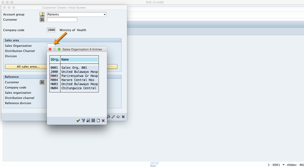 Customer Account in SAP FICO