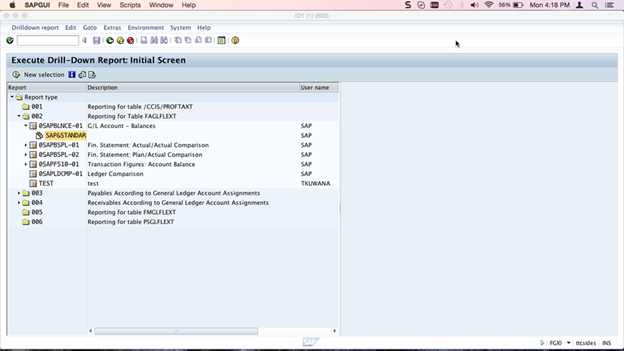 Drilldown Reporting in SAP FICO