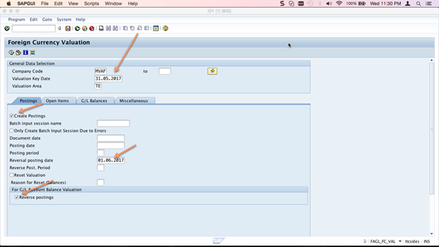 Foreign Currency Valuation in SAP FICO